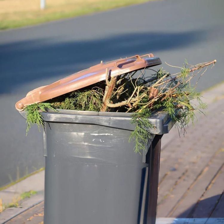 Garden & Plant Waste | Recyclopedia.sg