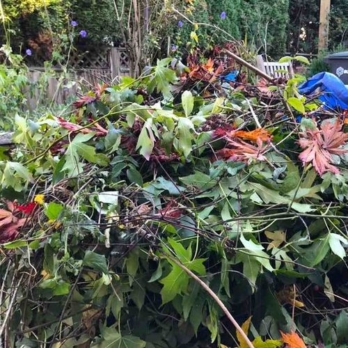 Garden & Plant Waste | Recyclopedia.sg